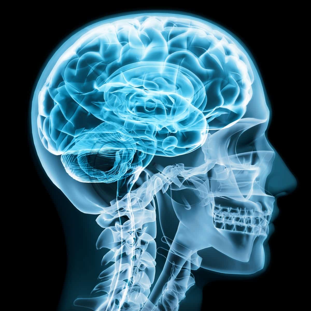 Understanding the Severity of Your Traumatic Brain Injury - Tennessee ...